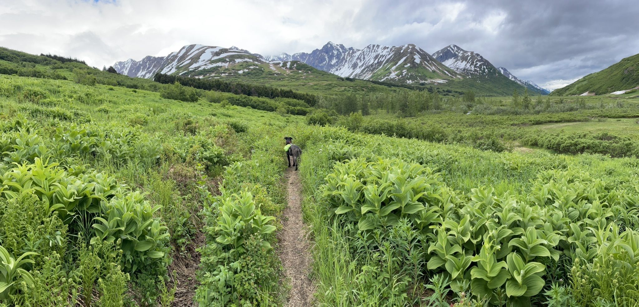 By Snowshoe, Sled, or Snowmachine, Johnson Pass a Storied Route | KMTA