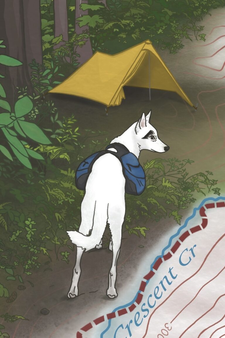 Trail to Crescent Lake | KMTA